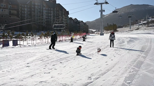MBtv: Eleven-month-old baby becomes Chinese snowboard sensation | Macau ...