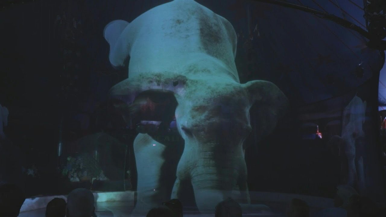 MBtv: German circus replaces live animals with holograms | Macau Business