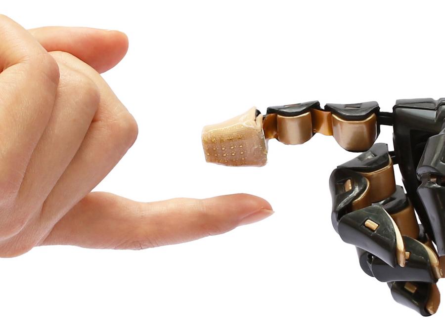 Chinese scientists design bio-inspired 3D e-skin | Macau Business