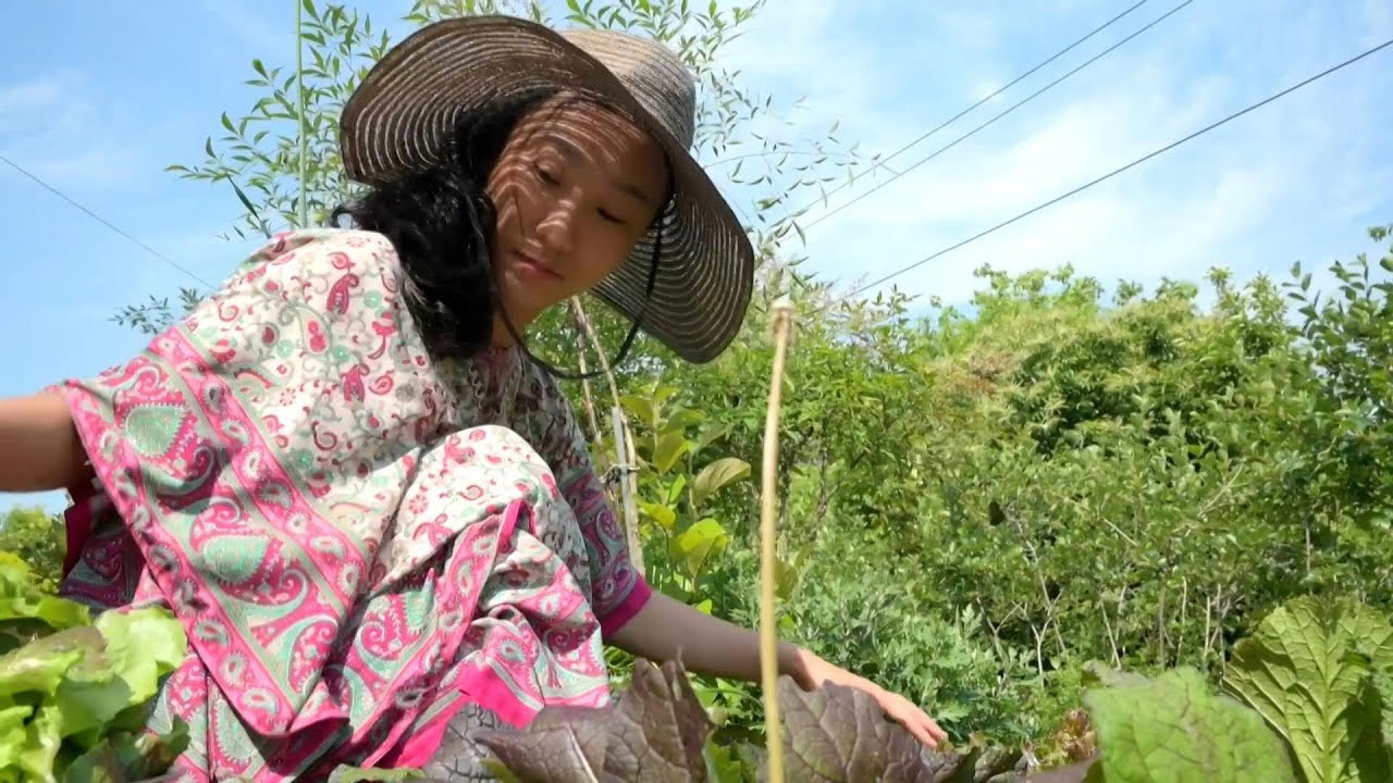 MBtv: Single and proud: South Korean YouTuber's viral embrace of solo ...