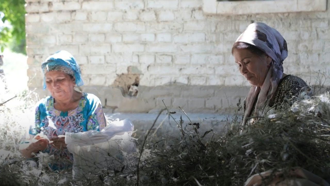 MBtv: Rebuilding the Silk Road: Uzbekistan tries to put fresh spin on ...